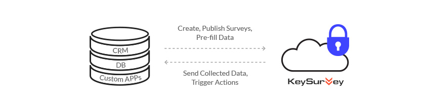 Key Survey Api And Integration Capabilities
